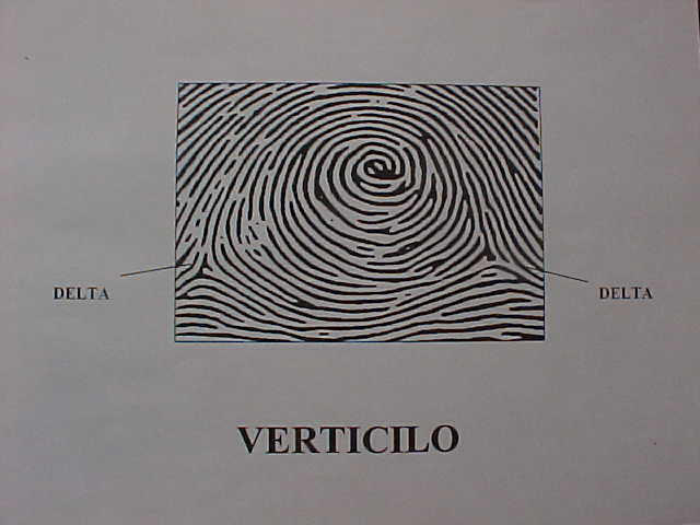 Conceptos generales de Dactiloscopía