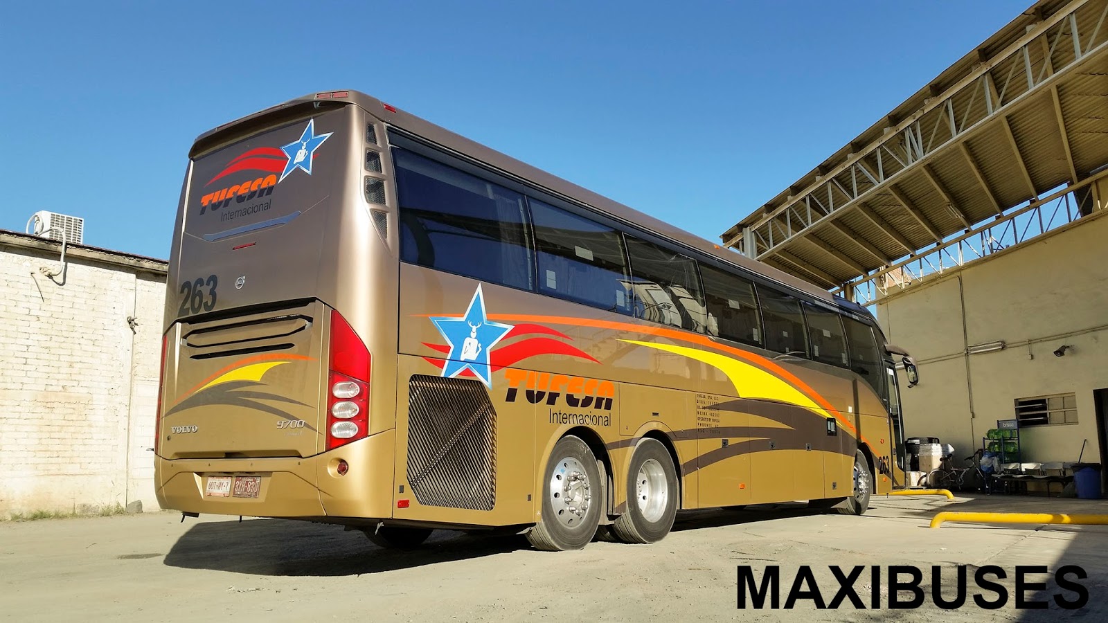 MAXIBUSES: TUFESA GOLD CLASS - INTERNACIONAL