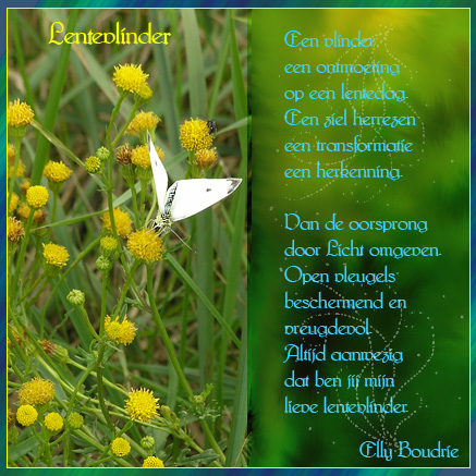 Kies een kaartje: Gedichten Natuur