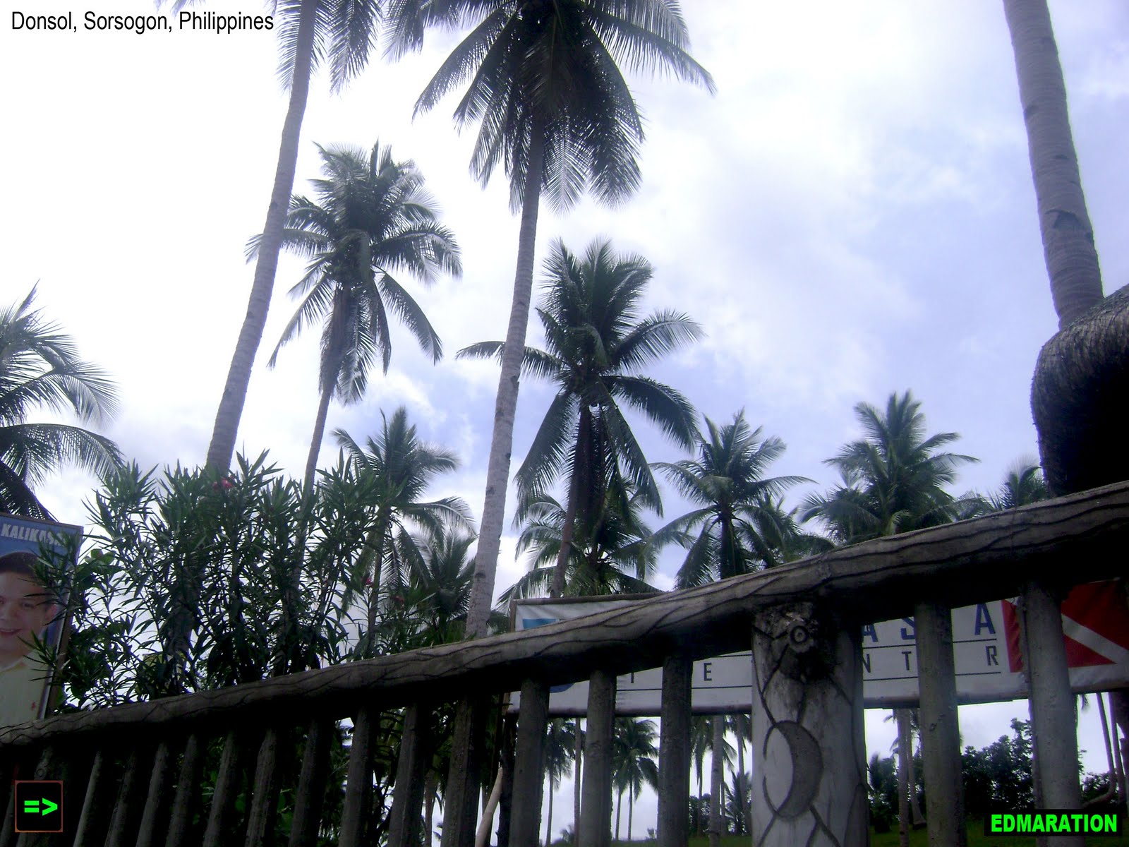 🇵🇭 DONSOL• (Sorsogon) No Whaleshark Seen, It's Our Fault - EDMARATION # ...