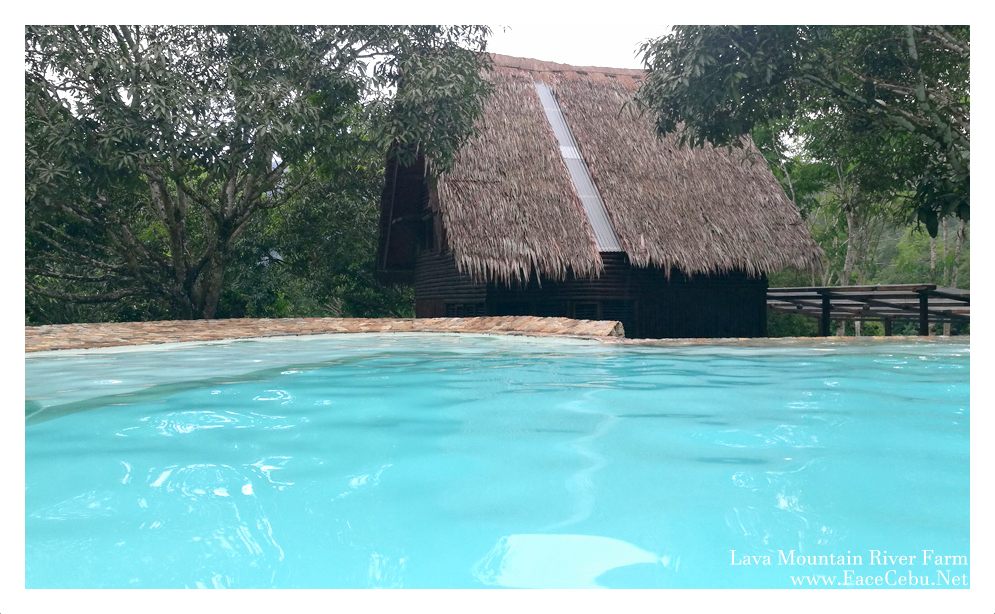 Enjoy Nature While Chilling At Lava Mountain River Farm - FaceCebu ...