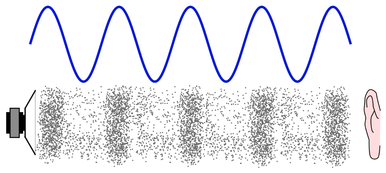 Los armónicos y el sonido | BlueVine Music