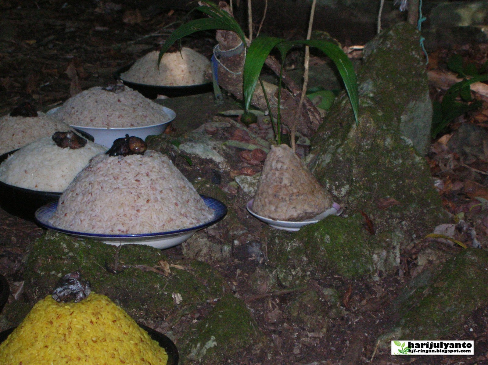 Ringan: Persembahan di Hutan Ritus ( Ritual Purung Taliang Marapu )