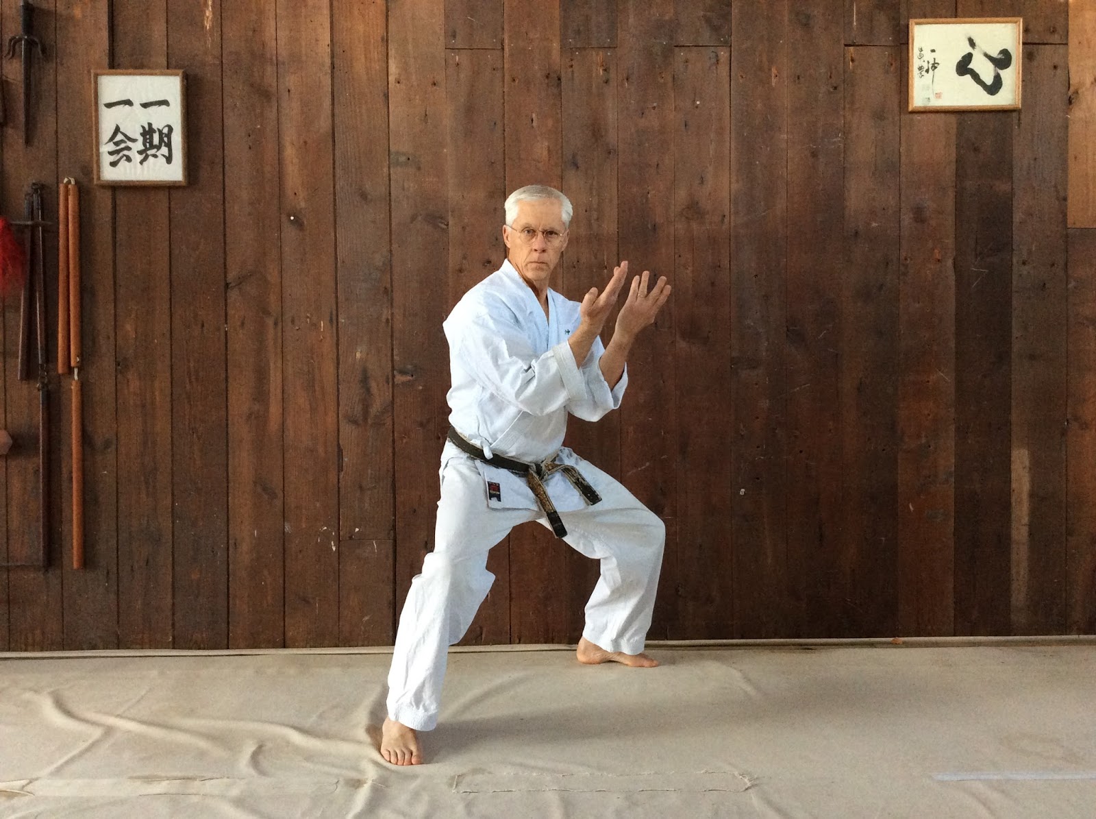 Goju-Ryu Karate-do: Does nobody ask why?