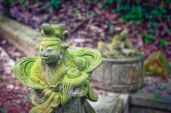 Bukit Brown activism: a race to save history