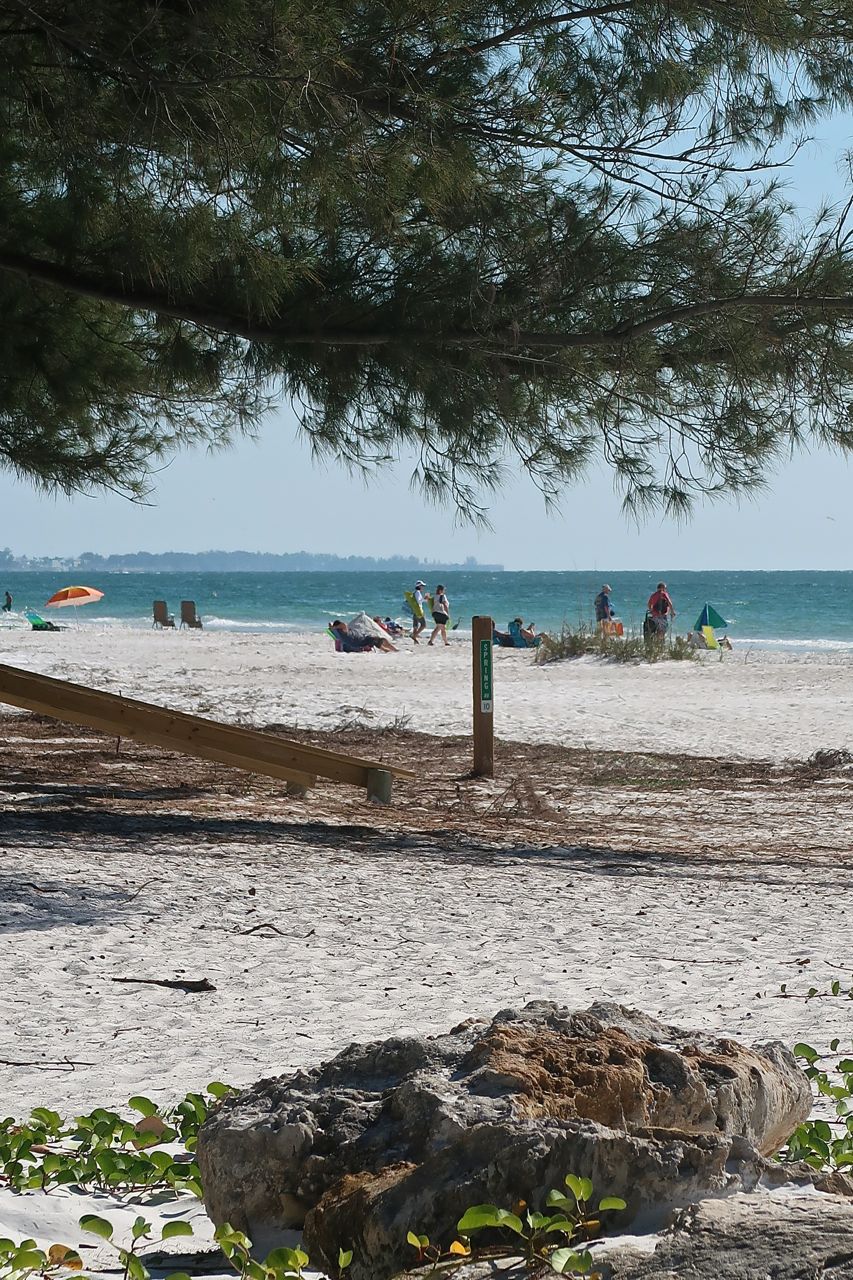 Scrumpdillyicious: The Sandbar: Beachfront Dining on Anna Maria