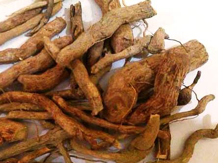 RAUWOLFIA (Rauwolfia serpentina) ~ MY PHARMACY