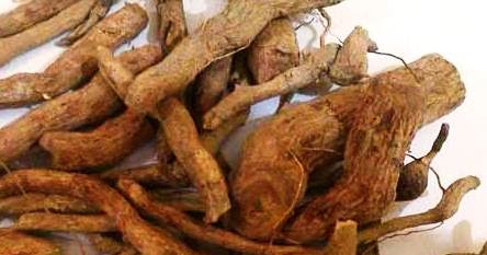 RAUWOLFIA (Rauwolfia serpentina) ~ MY PHARMACY