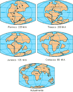El fabuloso mundo de las Geociencias: teoria de la deriva continental