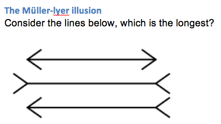 Fooling the Brain – Reality and Optical Illusions - Phil Parker