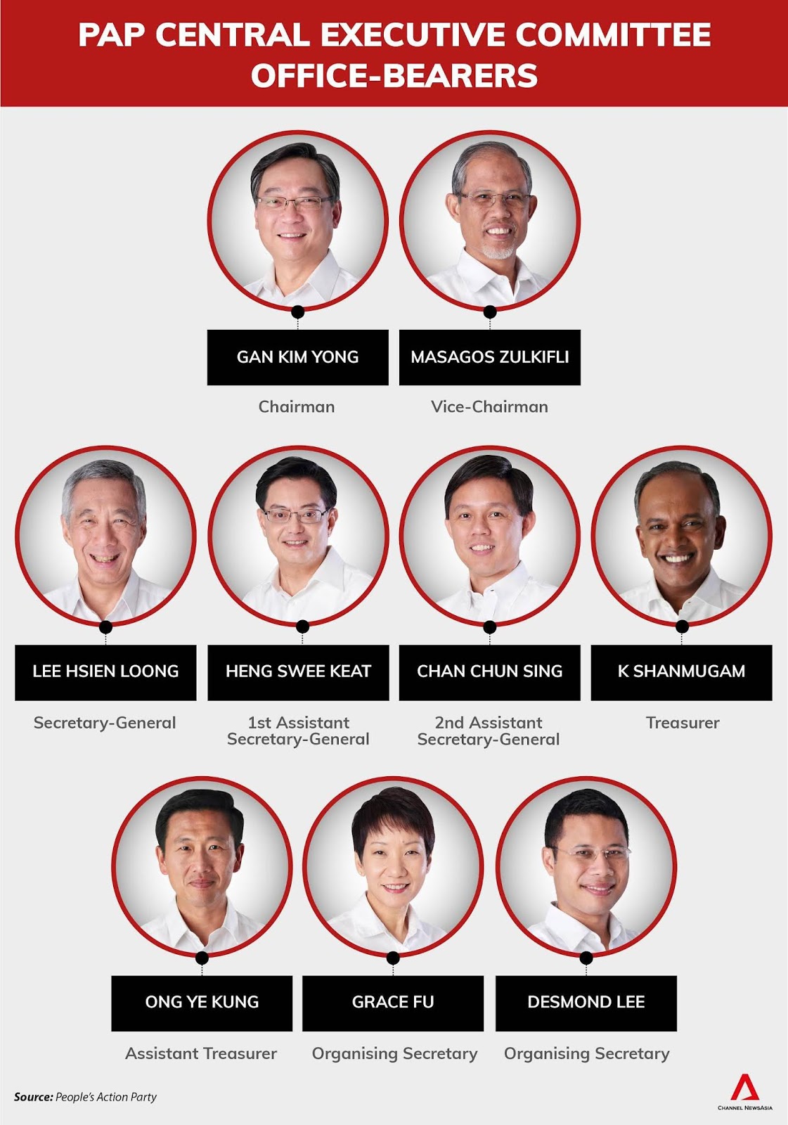 Under The Angsana Tree: PAP Central Executive Committee Election