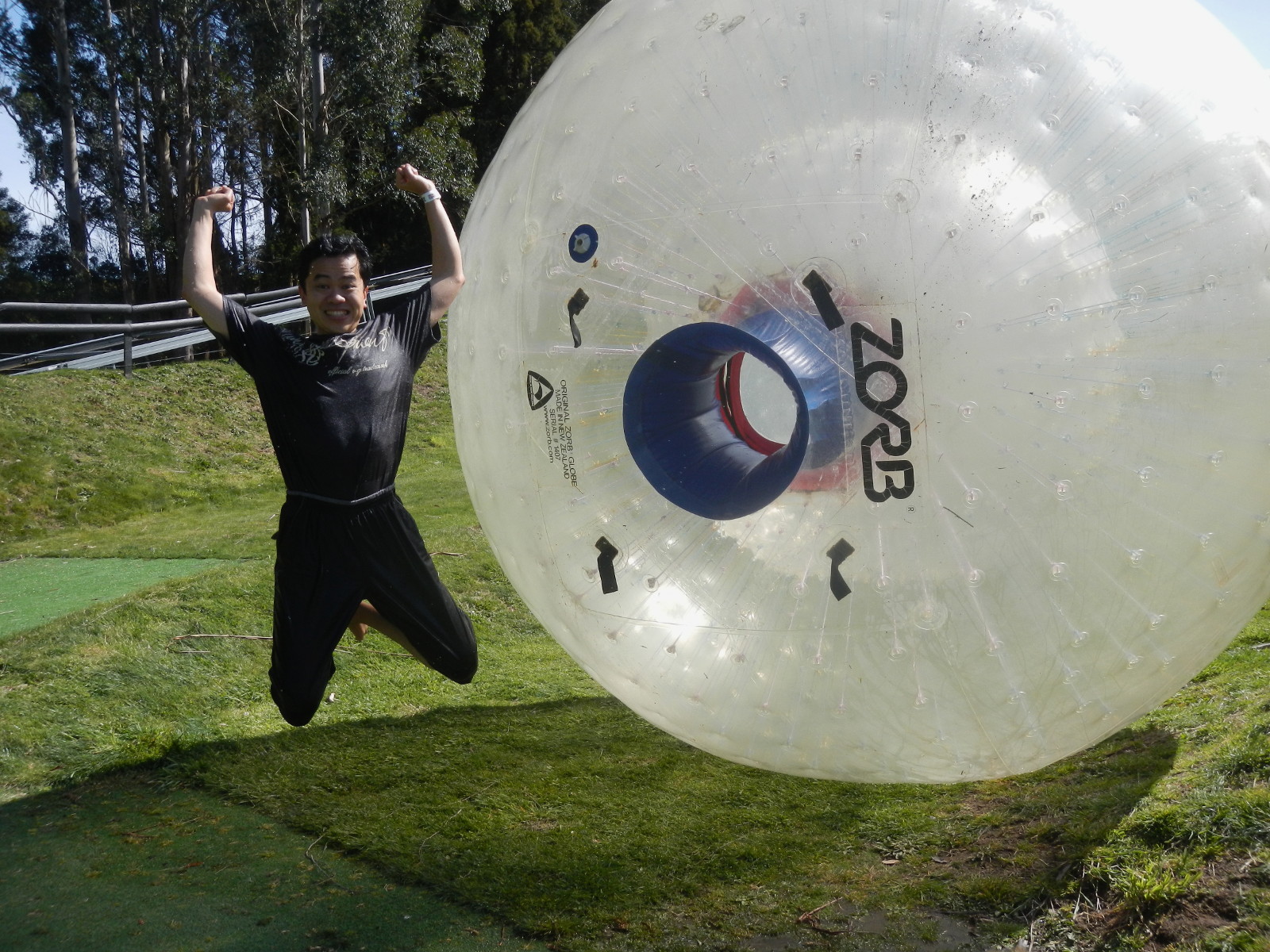 Adventures in New Zealand: Zorb