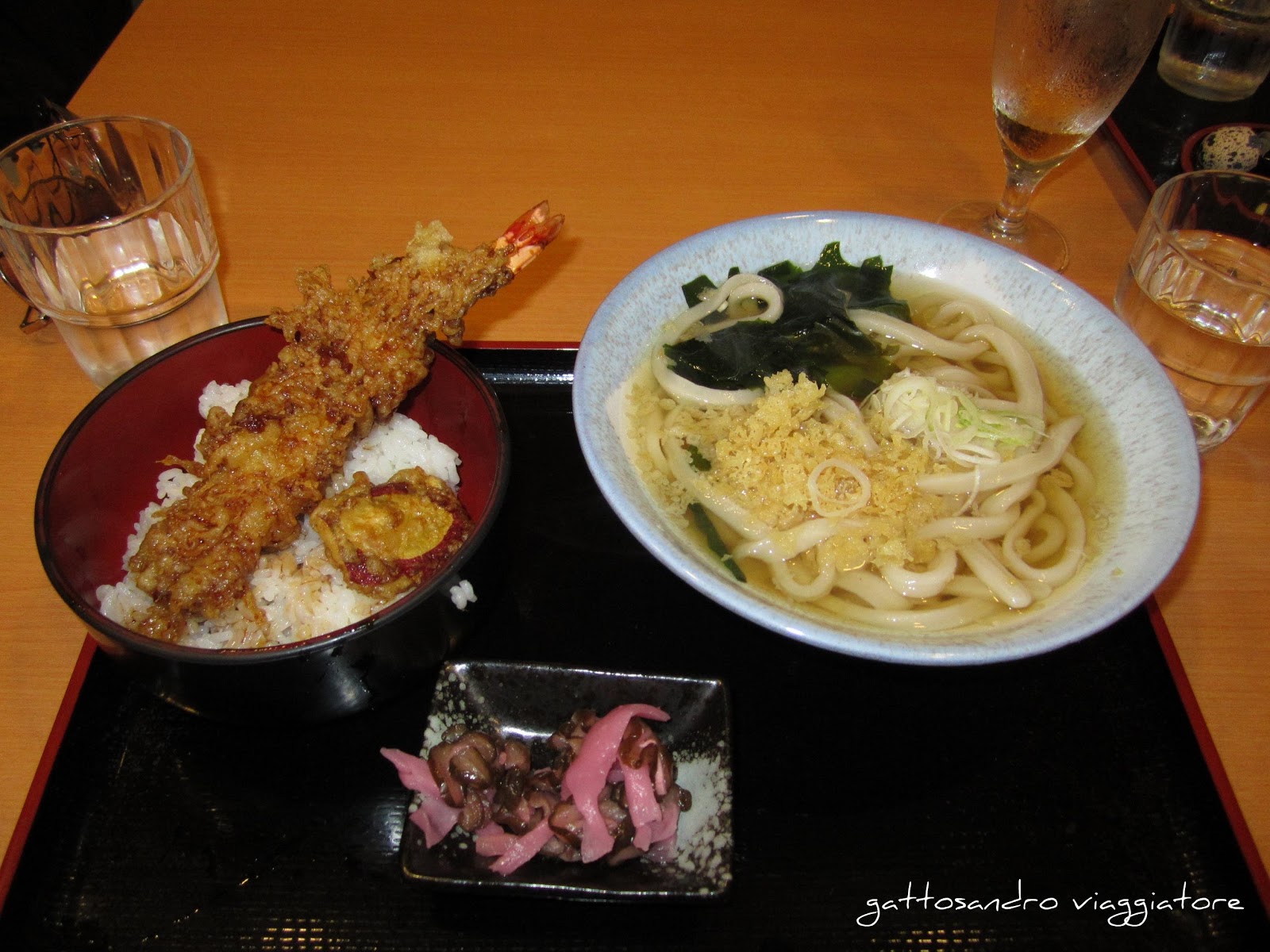 gattosandro viaggiatore - travel blog: Giappone 2011 - Kasai Rinkai ...