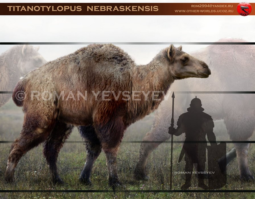 Escenarios prehistóricos: Titanotylopus