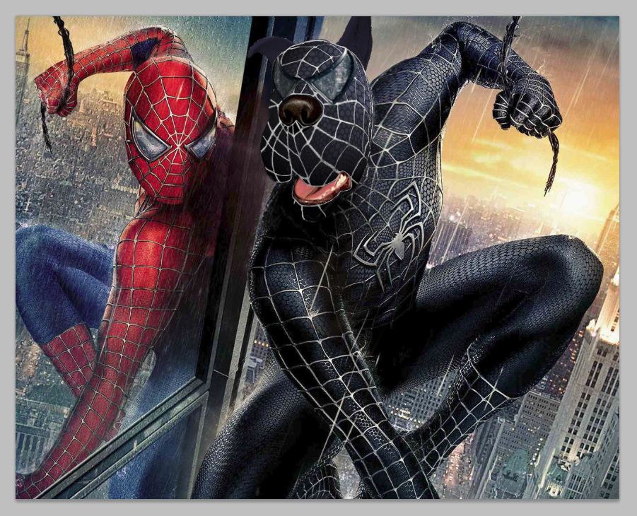 3D Graphics/Computer Graphics: Spider-Doo-Edit