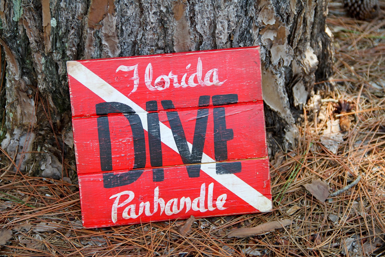 David J. Hansel the Artist: Florida Vintage Beach Signs