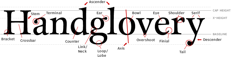 Context of Practice.: Anatomy of Type