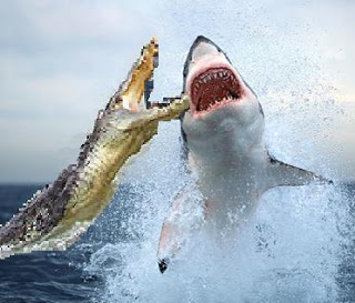 Outback Snack Australia: Australia Travel Tips