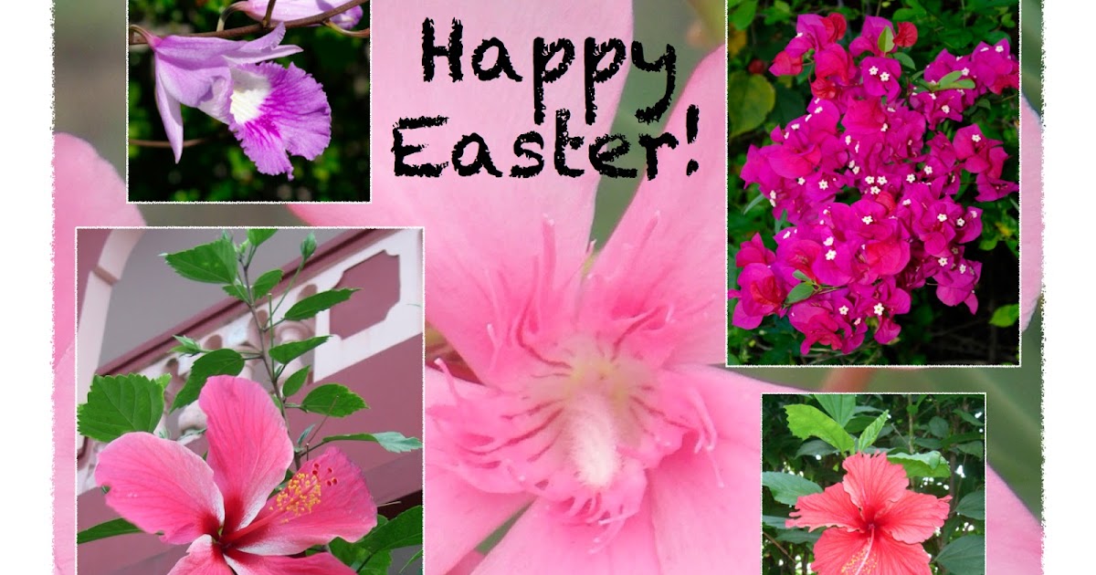 JennicaCuba: Cuban Easter flowers & a travel update