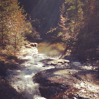 Darling Simplicity: Top 10: Tidbits of Knowledge