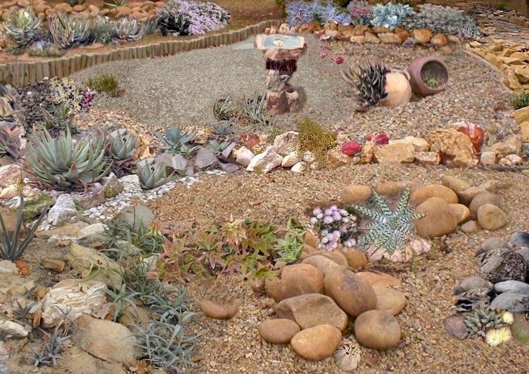 my aloe garden: Rock gardens