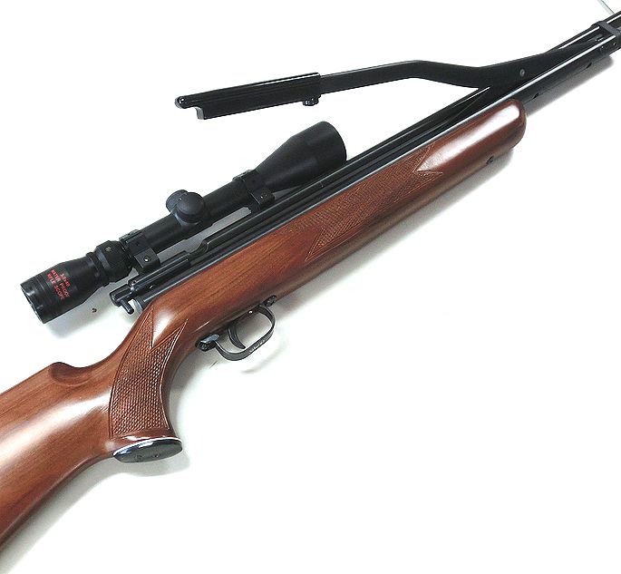 ヨット、銃、そして犬たちとの日々: Sharp Ace Hunter