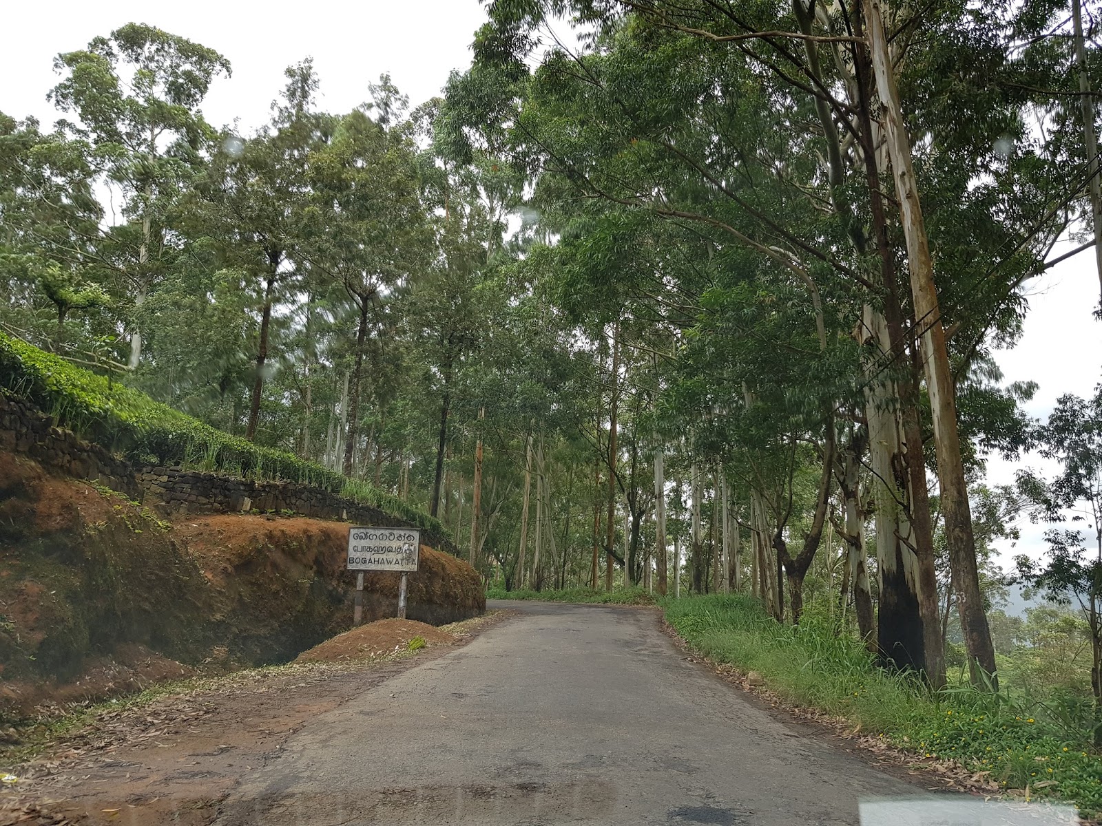 Road Trip - Colombo to Talawakelle, Nawalapitiya, Dolosbage, Dedugala ...