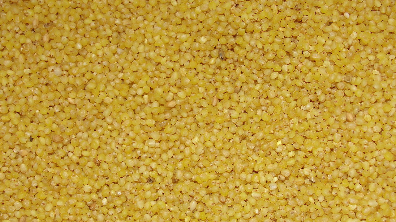 Millets- What Are Millets, Types of Millets & Health Benefits