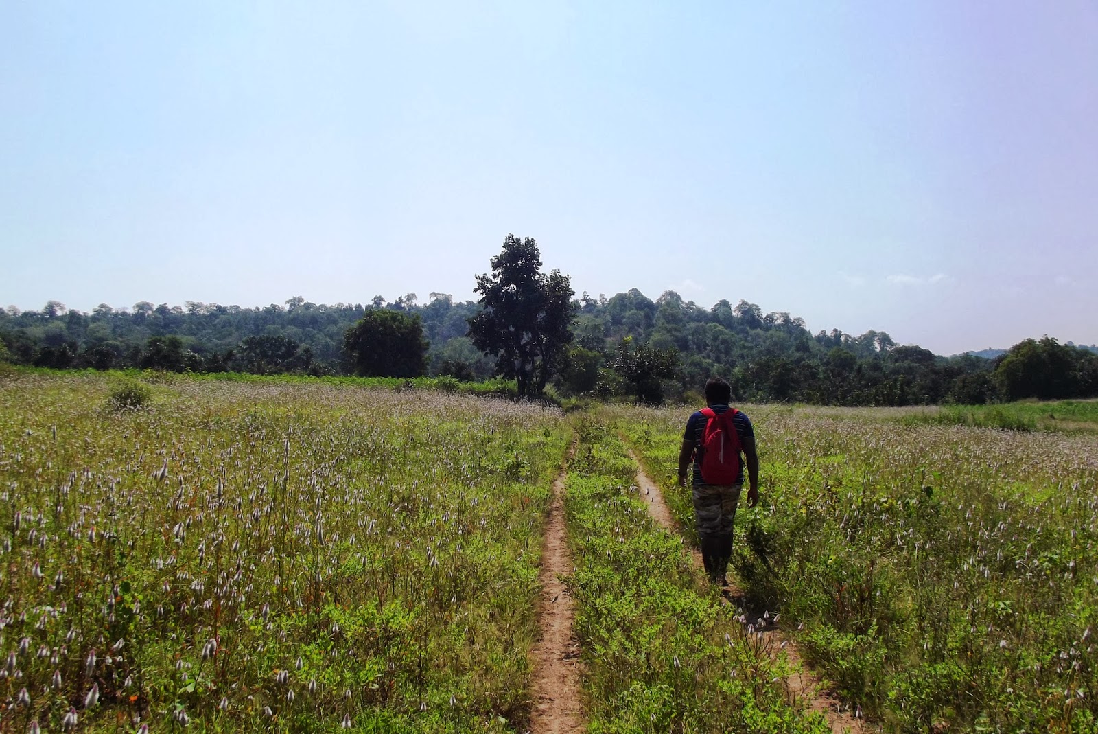 My Travel Ore: Gayatri Waterfalls, Adilabad District, AndhraPradesh