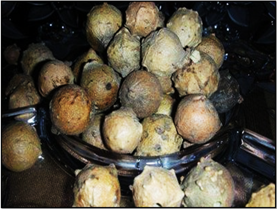 Manjakani Herbs: Buah Manjakani Asli