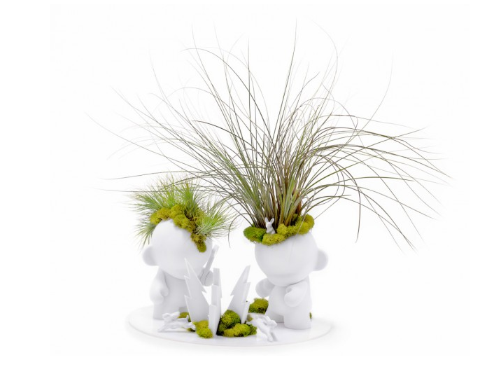 Interior Design Ideas: Beautiful Mini Garden at Home with Various Plants