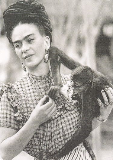 NUNCAJAMAS COCKER: LAS MASCOTAS DE FRIDA