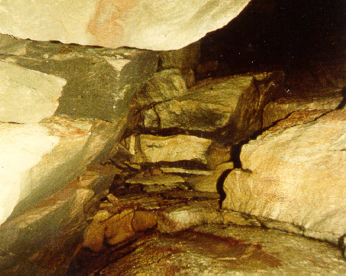 Solomons Blondes: Burrows Gold Coins