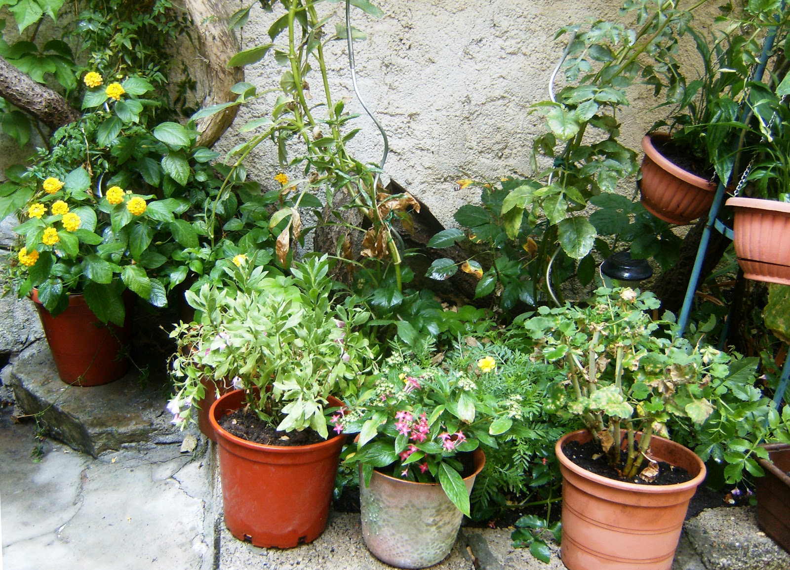 lila365idees: ΒΑΣΗ ΓΙΑ ΓΛΑΣΤΡΕΣ ΑΠΟ ΠΑΛΙΟ ΚΟΜΟΔΙΝΟ (BRACKET FOR POT OF ...