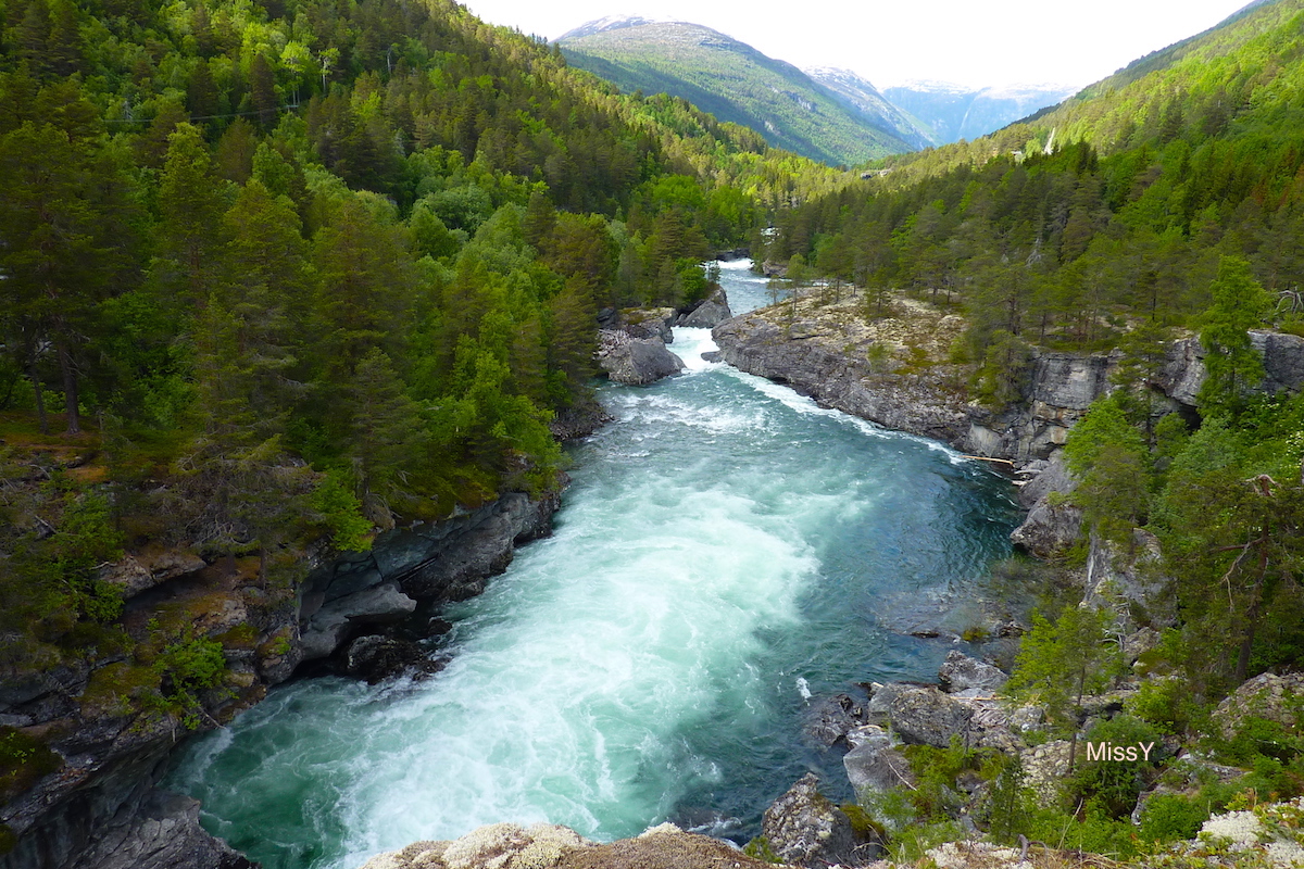Photograff: En train dans la vallée de la Rauna