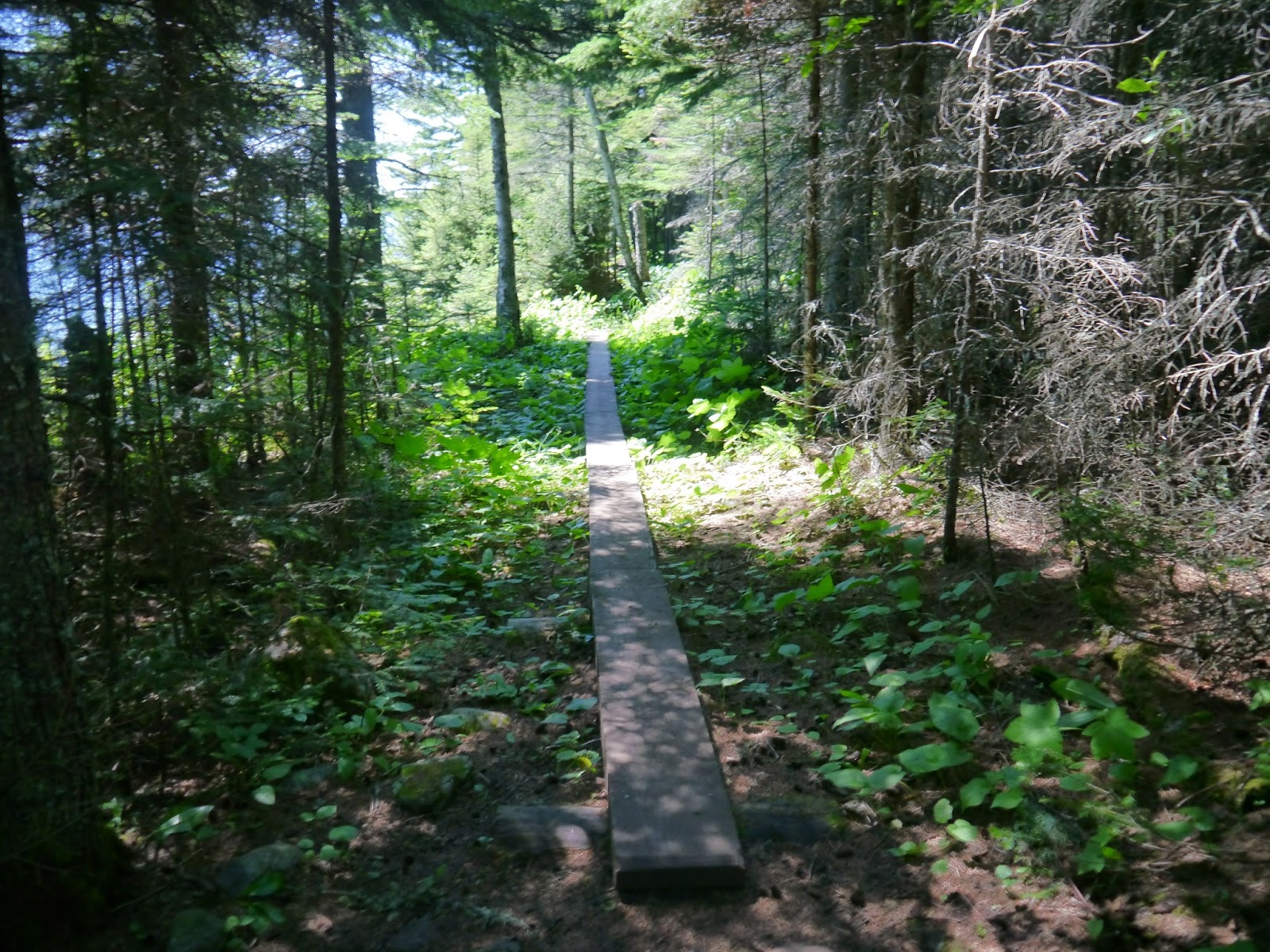 American Travel Journal: Rock Harbor Trail from Rock Harbor to Three ...