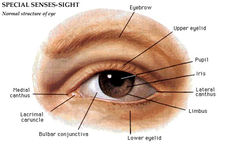 Bintik Putih Di Mata Kanan - Tanya Alodokter