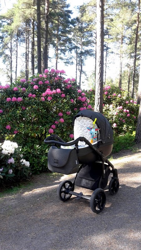 Eräs kaunis päivä 2.0