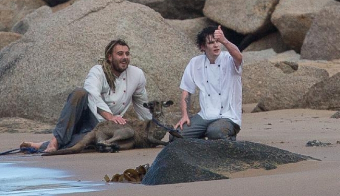 White Wolf : Two courageous men save drowning kangaroo off the coast of ...