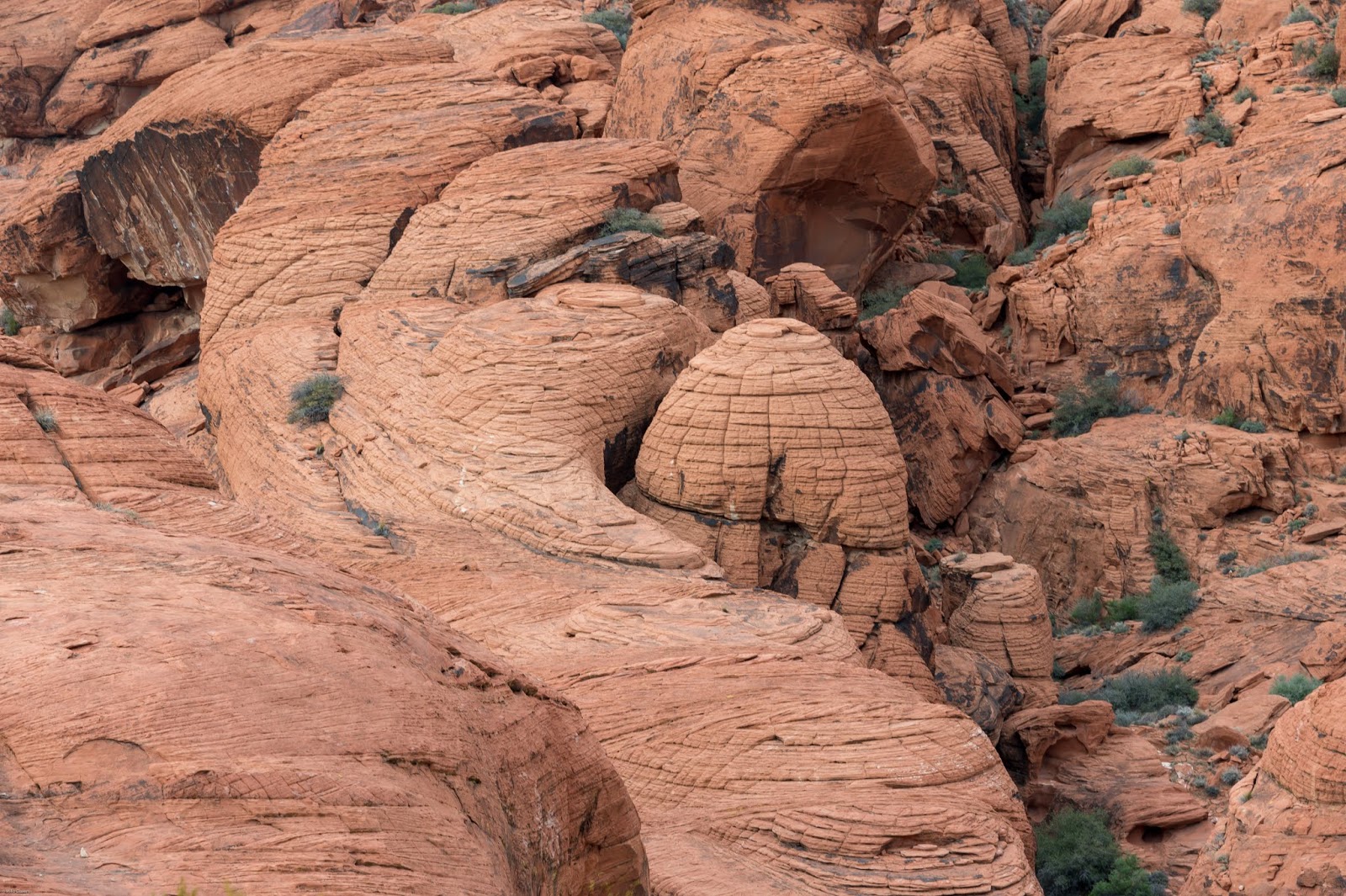 Shot of the Day: The Igloo