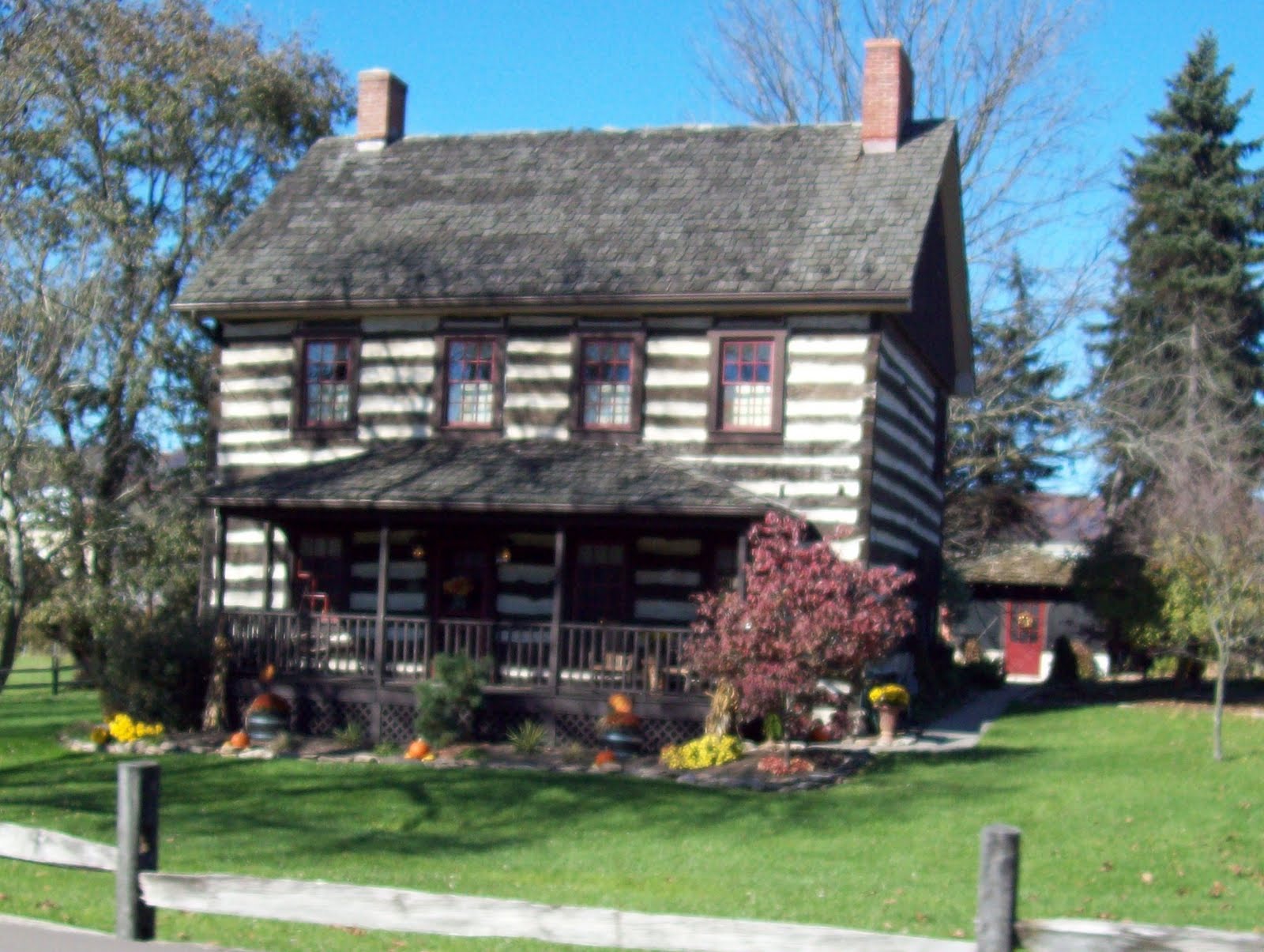 A Primitive Homestead: Busy Busy