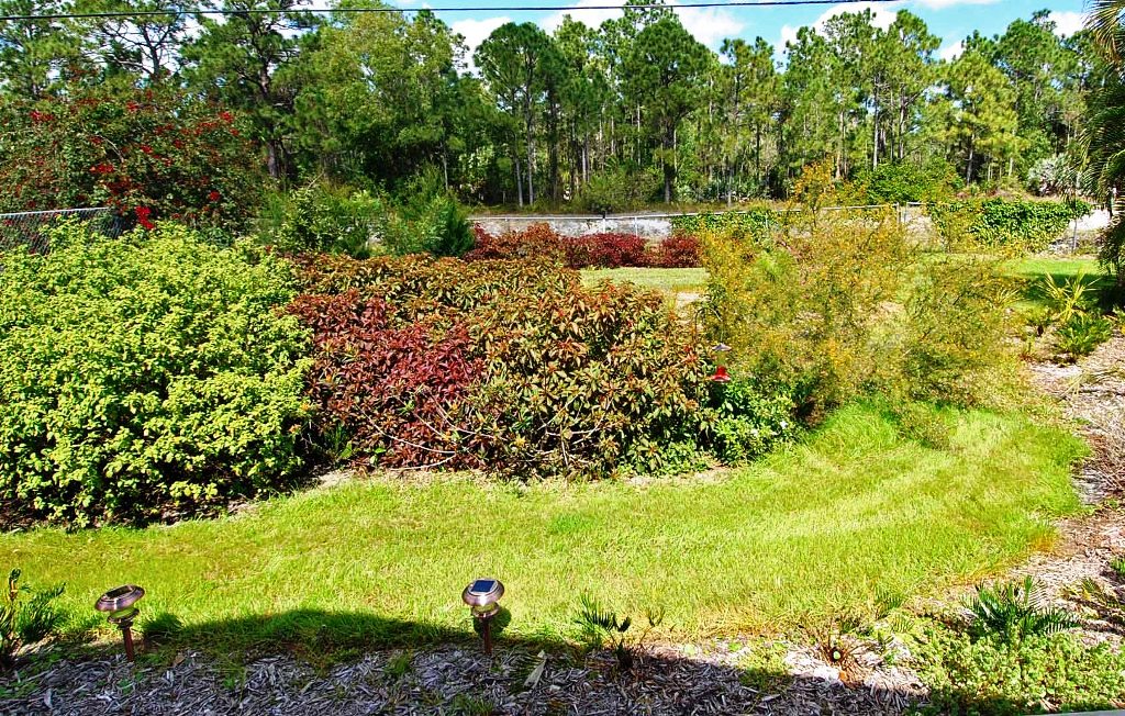 Florida Native Landscaping: Why use native plants