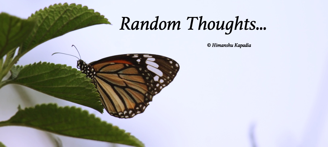 Random Thoughts...: Milkshake - Street Poetry - Before Sunrise