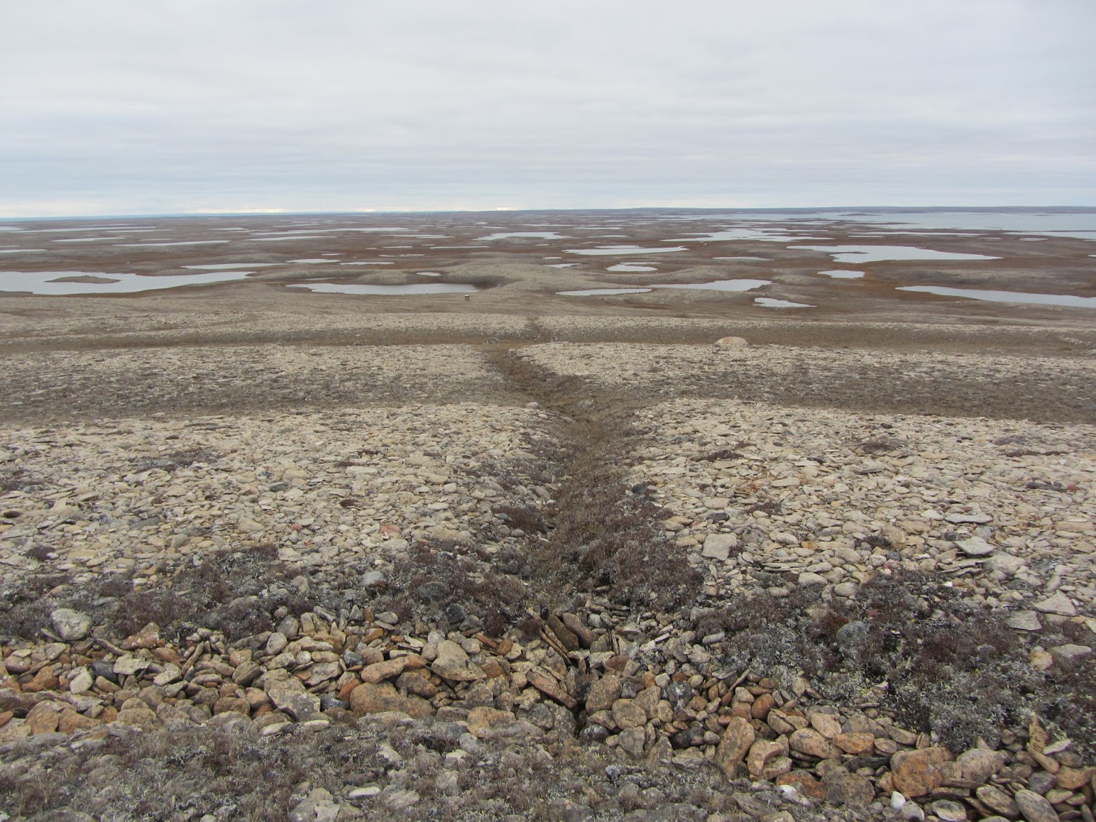 run, gloria, run!: climbing mount pelly