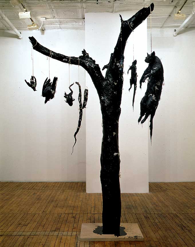 The Art Spot: Mark Dion