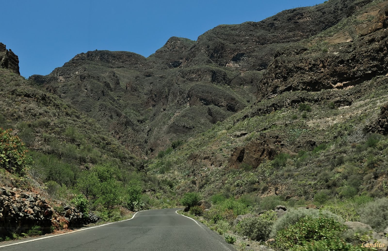 Iris Landito: Barranco de Guayadeque