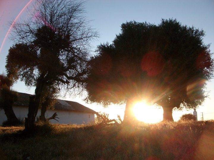 The Master Musicians of Joujouka Festival, Joujouka, Morocco, 5-7 June ...