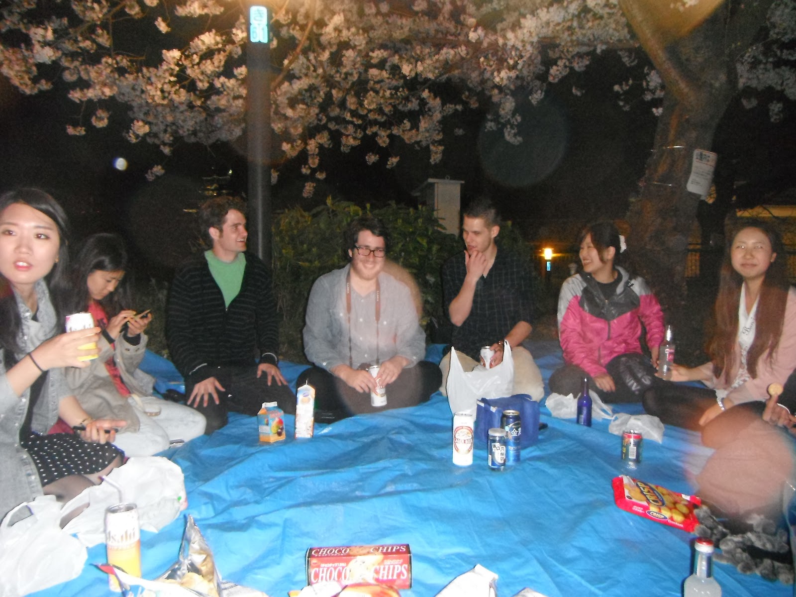 The Only Blonde in Osaka: Hanami Party: Chu-hi and Cherry Blossoms