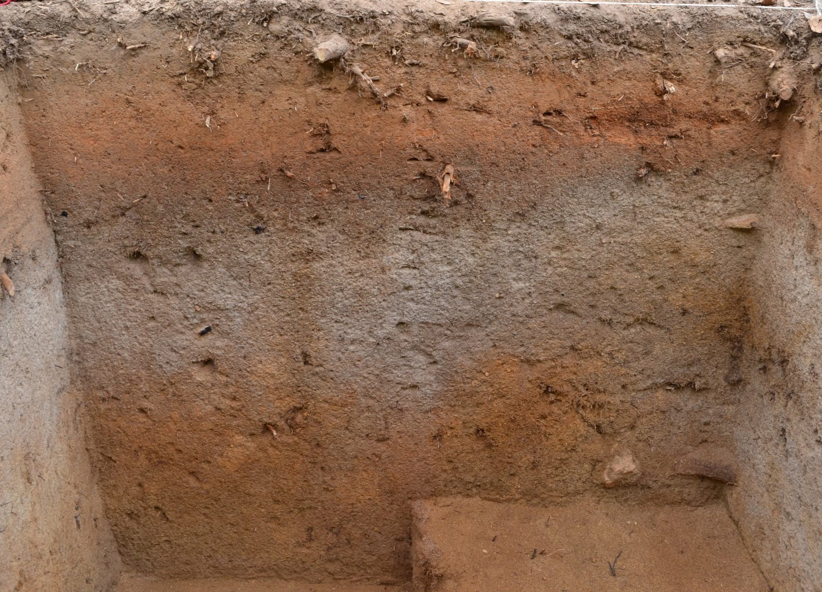 University of West Florida Campus Field School: Stratigraphy