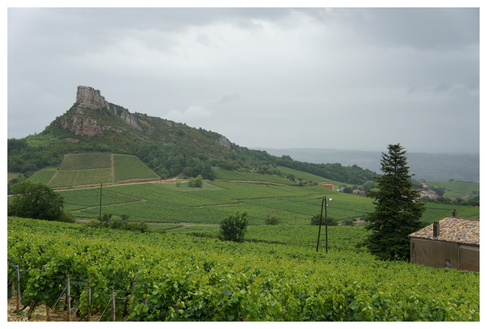 passerelle: La Roche de Solutré (Monts du Mâconnais)